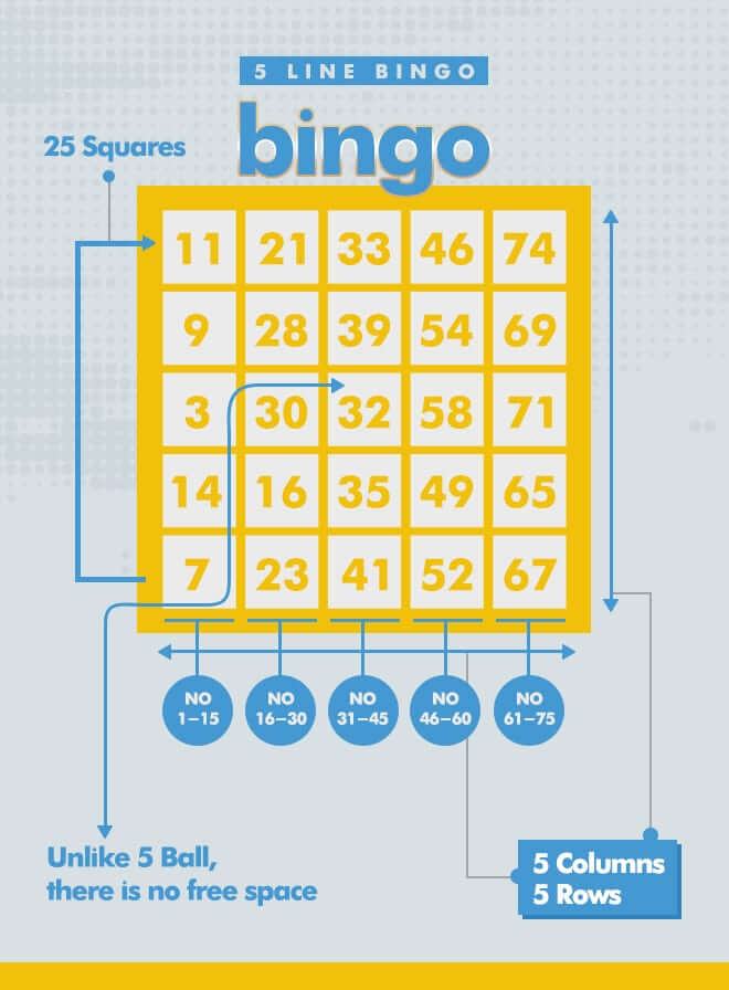 Types of Online Bingo Games Explained - Playright