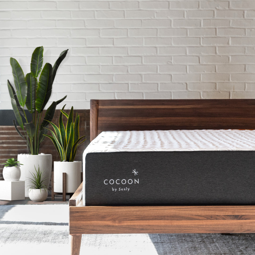 Cocoon by Sealy Mattress Review 2023 | Top 5 Top 5 Mattress